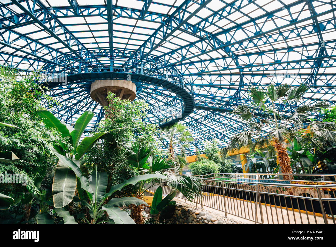 Seoul grand park zoo hi-res stock photography and images - Alamy