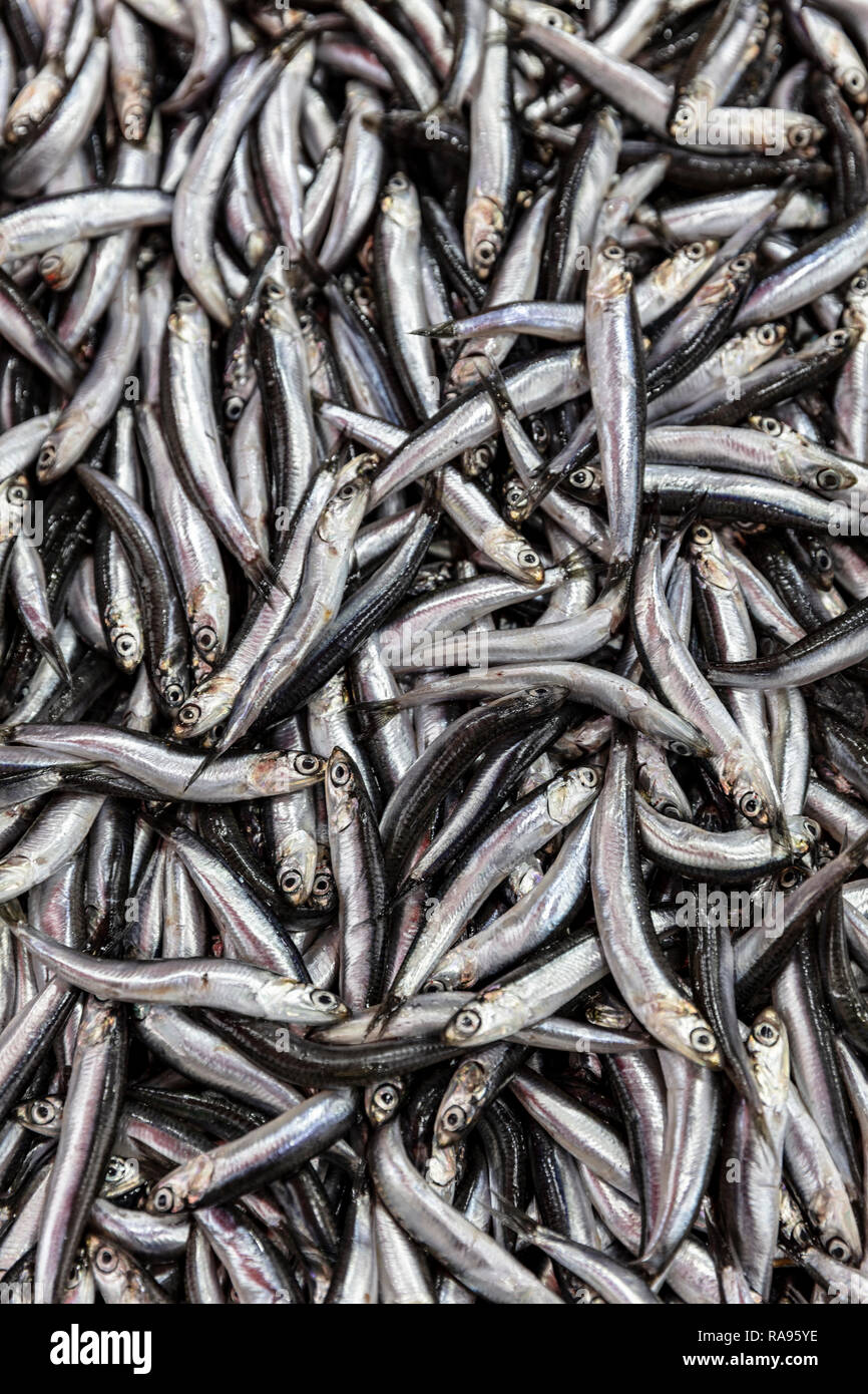 Anchovies sale on fish market hi-res stock photography and images - Alamy