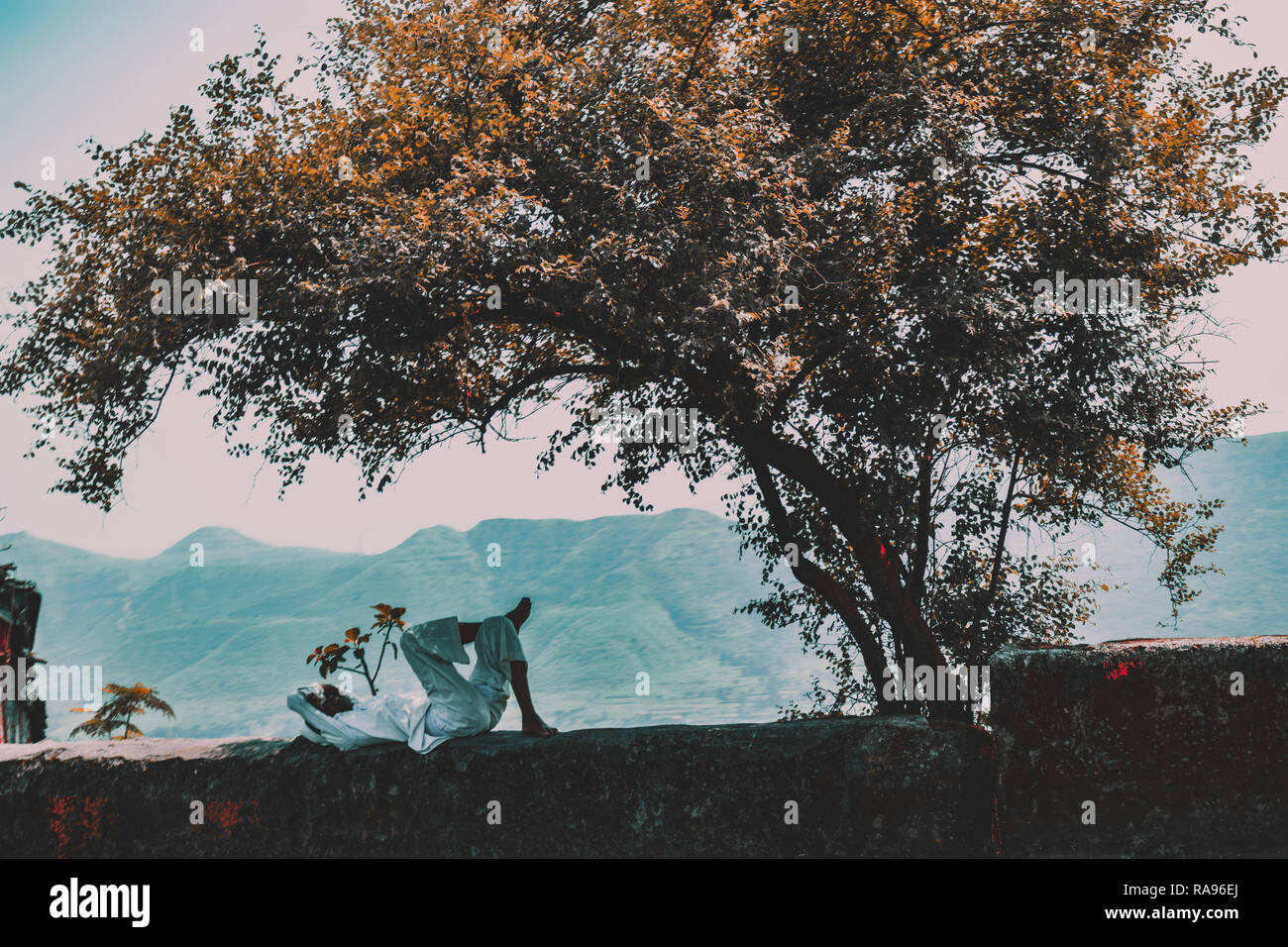 Man sleeping under tree hi-res stock photography and images - Alamy