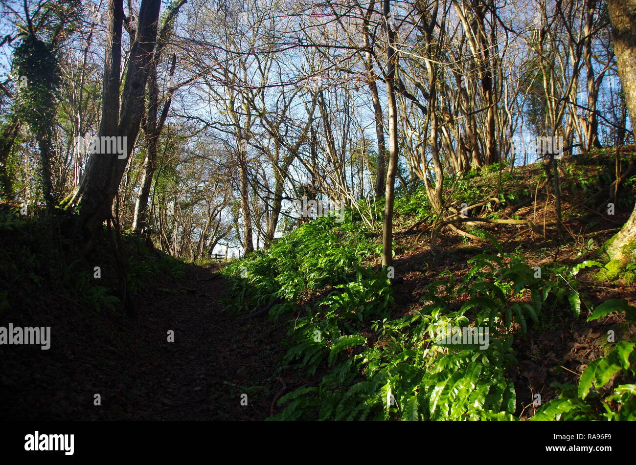 The Macmillan Way. Long-distance trail. Wiltshire. England. UK Stock ...