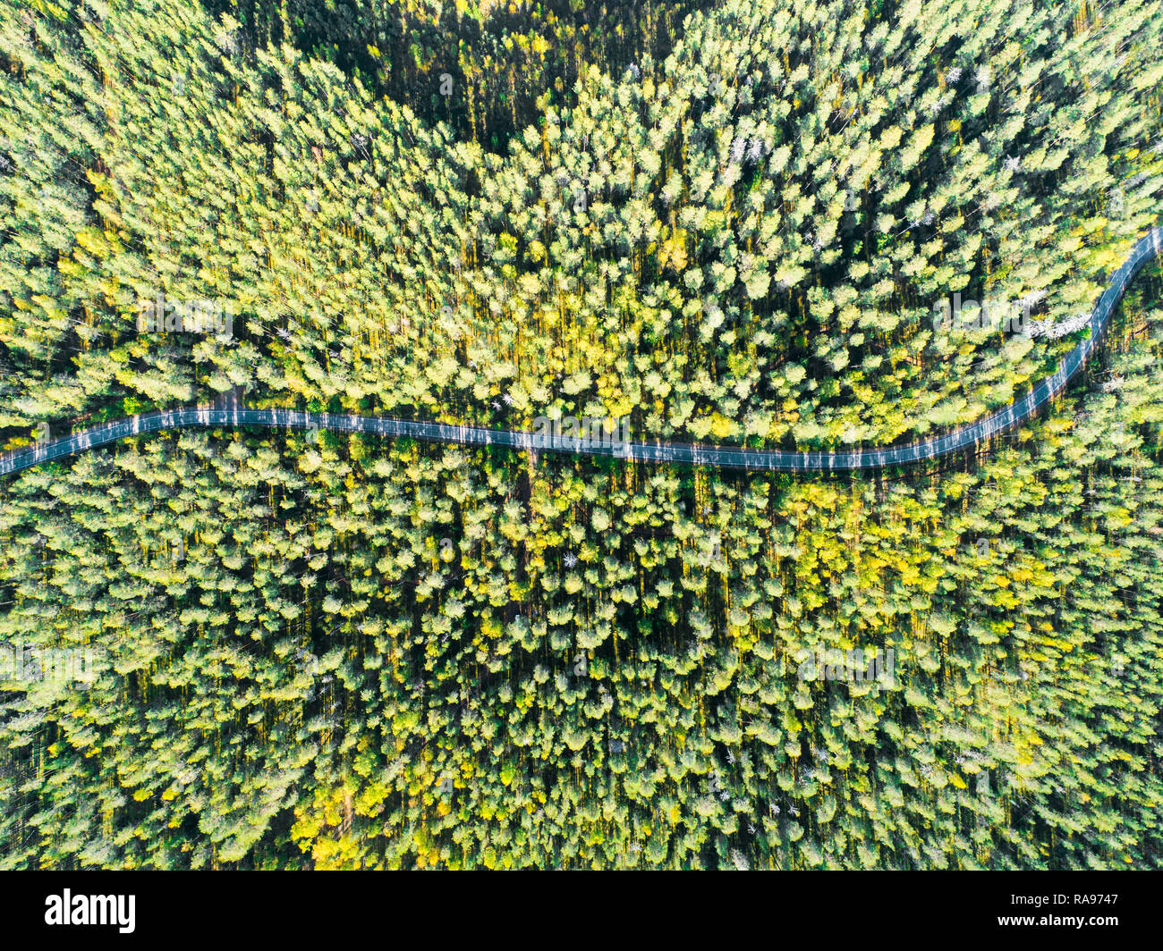 Aerial view of a country road in the forest with moving cars. Landscape ...