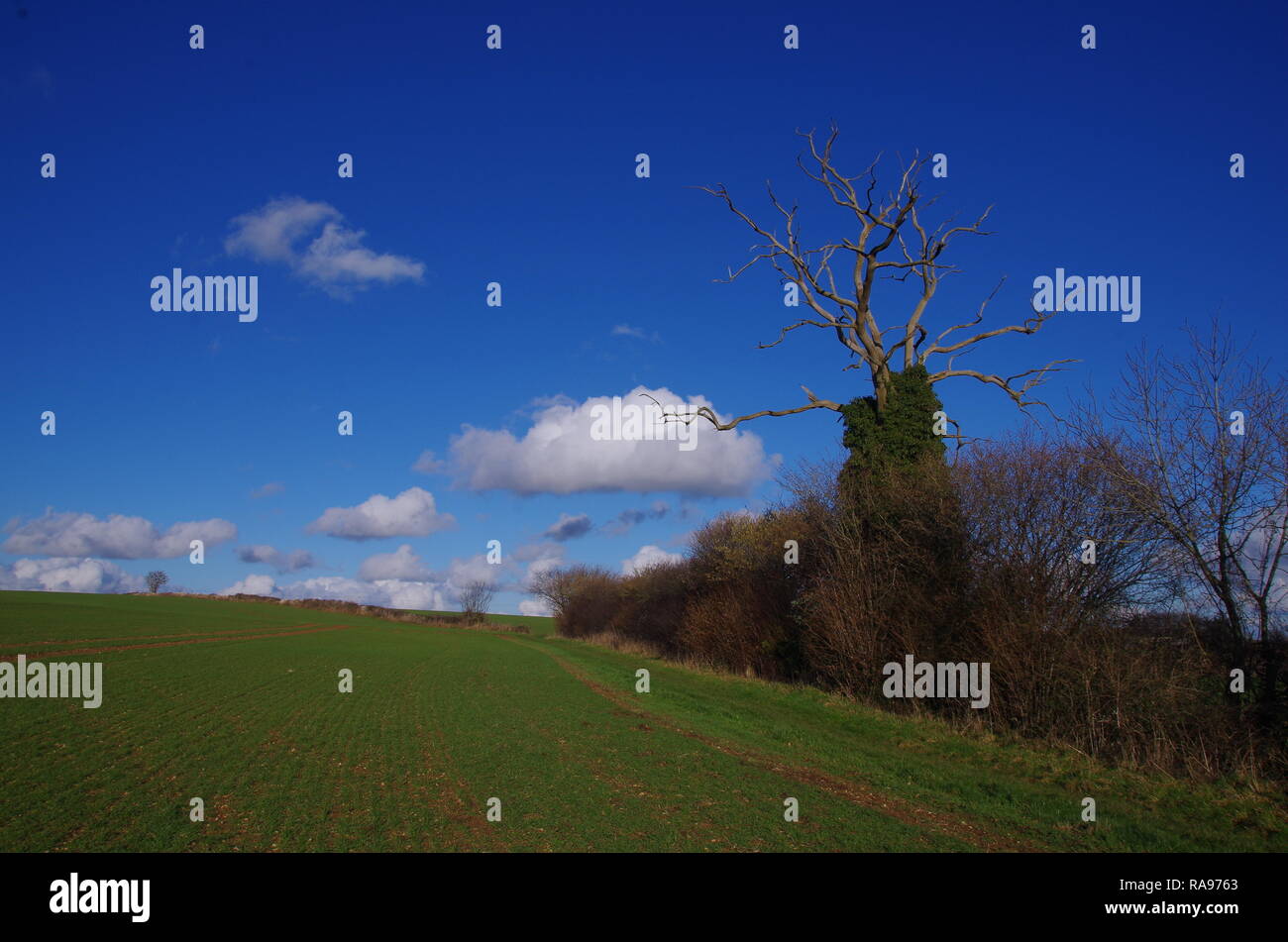 The Macmillan Way. Long-distance trail. Wiltshire. England. UK Stock ...