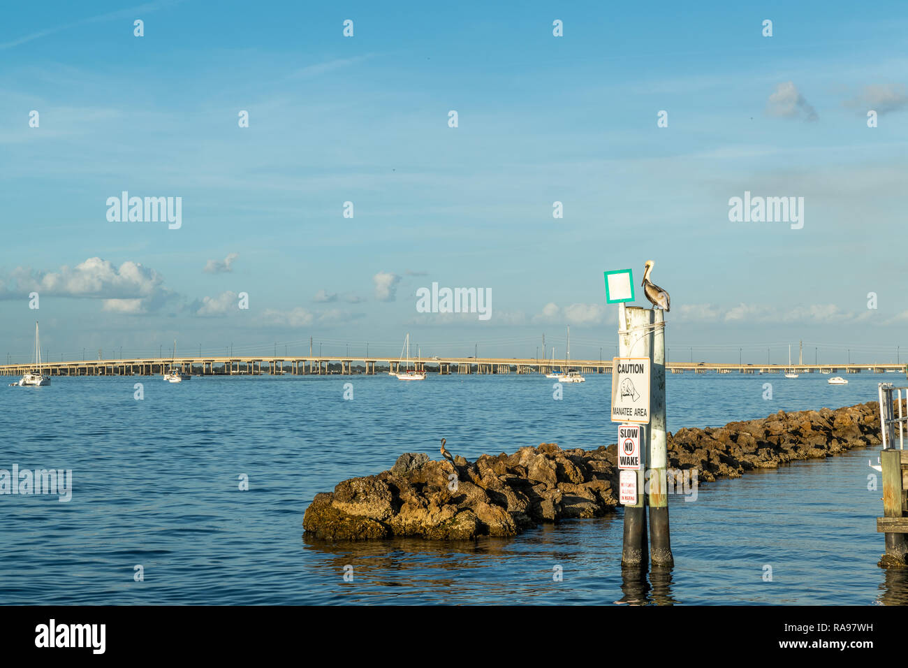 A pelican sits on a sign at the beach in Florida -Manasota Key, West ...
