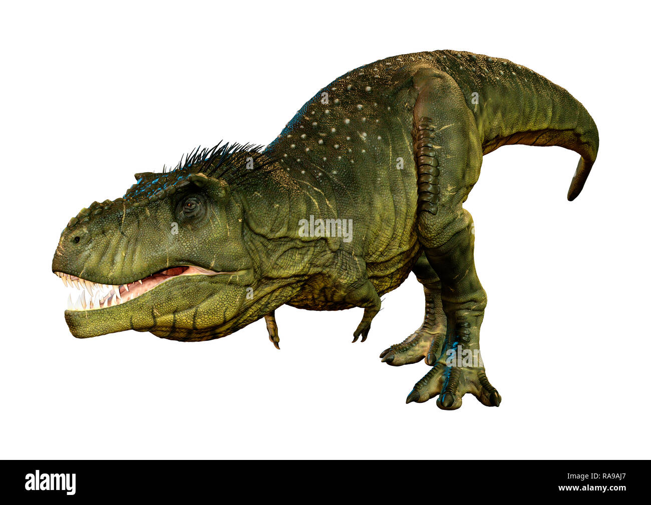 3D rendering of a dinosaur Tyrannosaurus Rex isolated on white ...