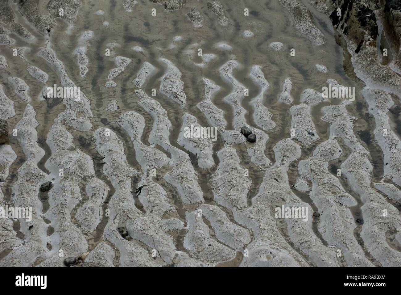 Brighton hove beach low tide hi-res stock photography and images - Alamy