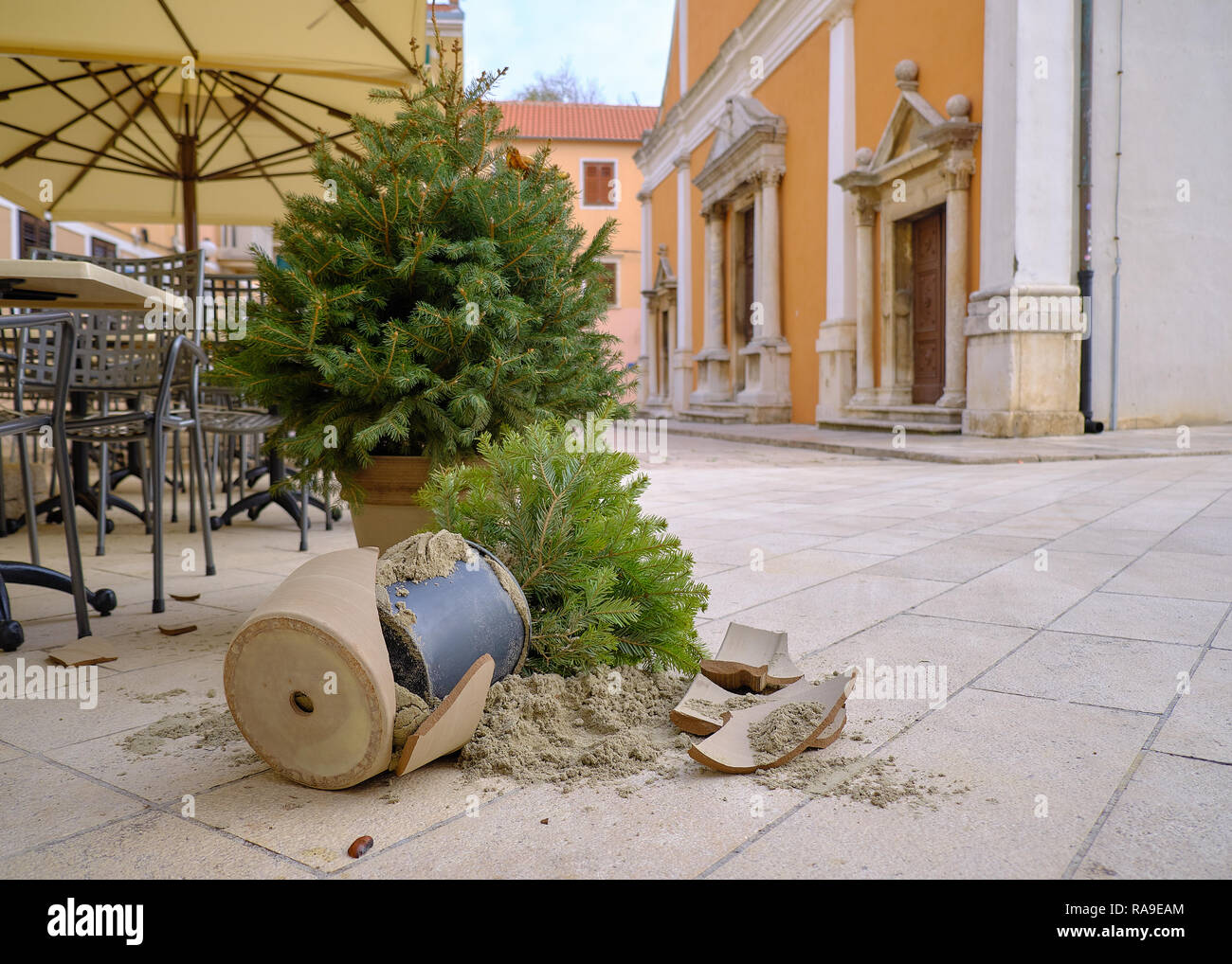 Broken plant pot, next to one that is still intact. Both pots had small ...