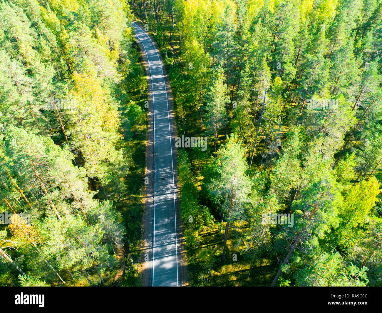 Aerial view of a country road in the forest with moving cars. Beautiful ...