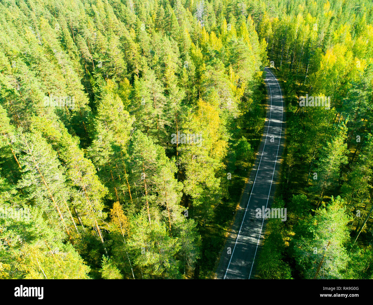 Aerial view of a country road in the forest with moving cars. Beautiful ...