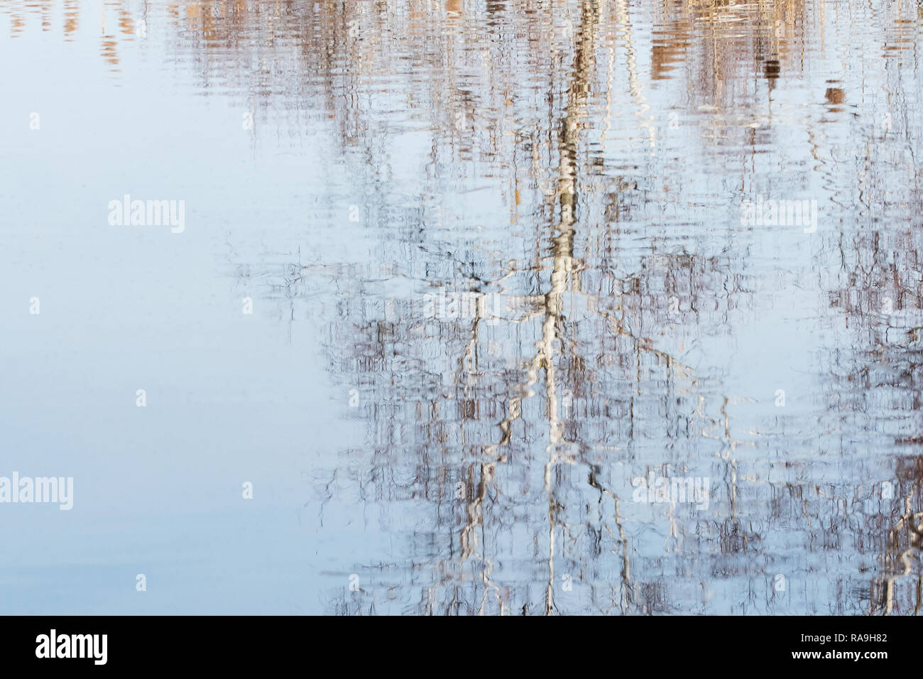 Nature of reflection hi-res stock photography and images - Alamy