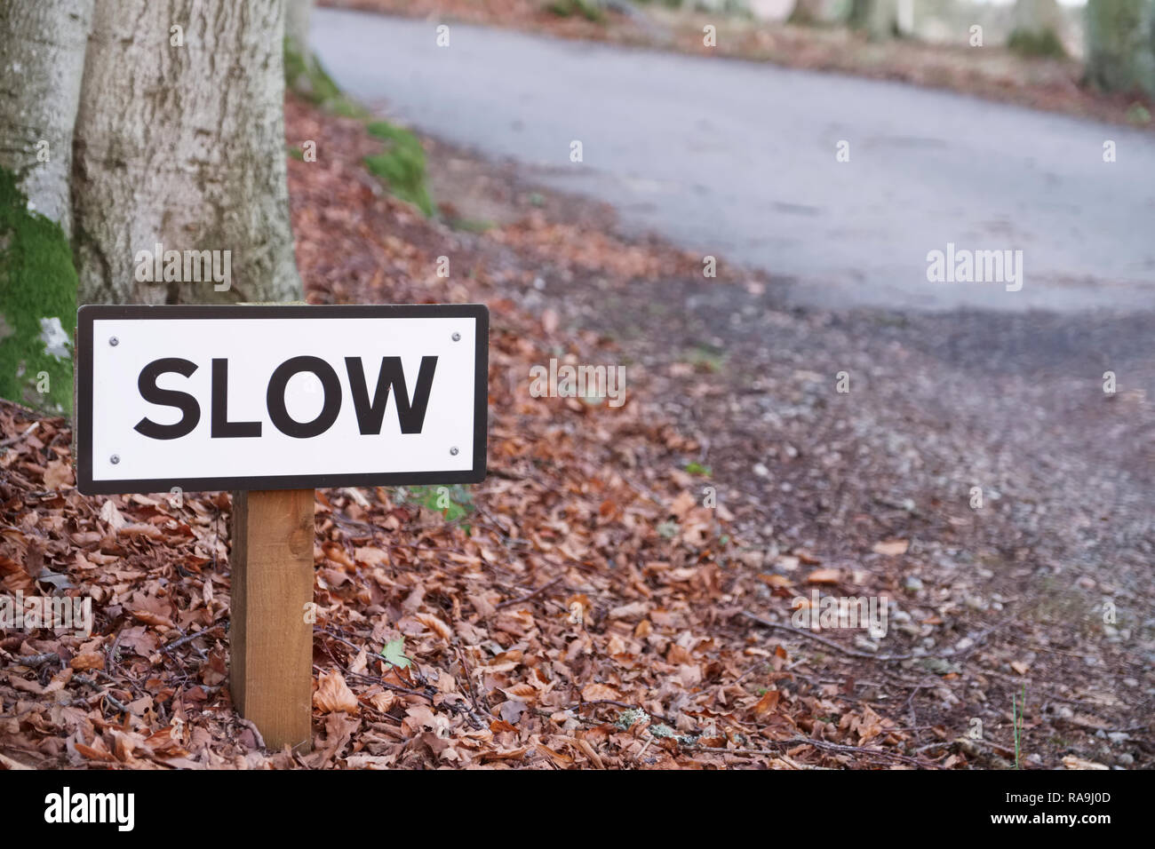 Slow down road safety sign on rural countryside highway Stock Photo - Alamy