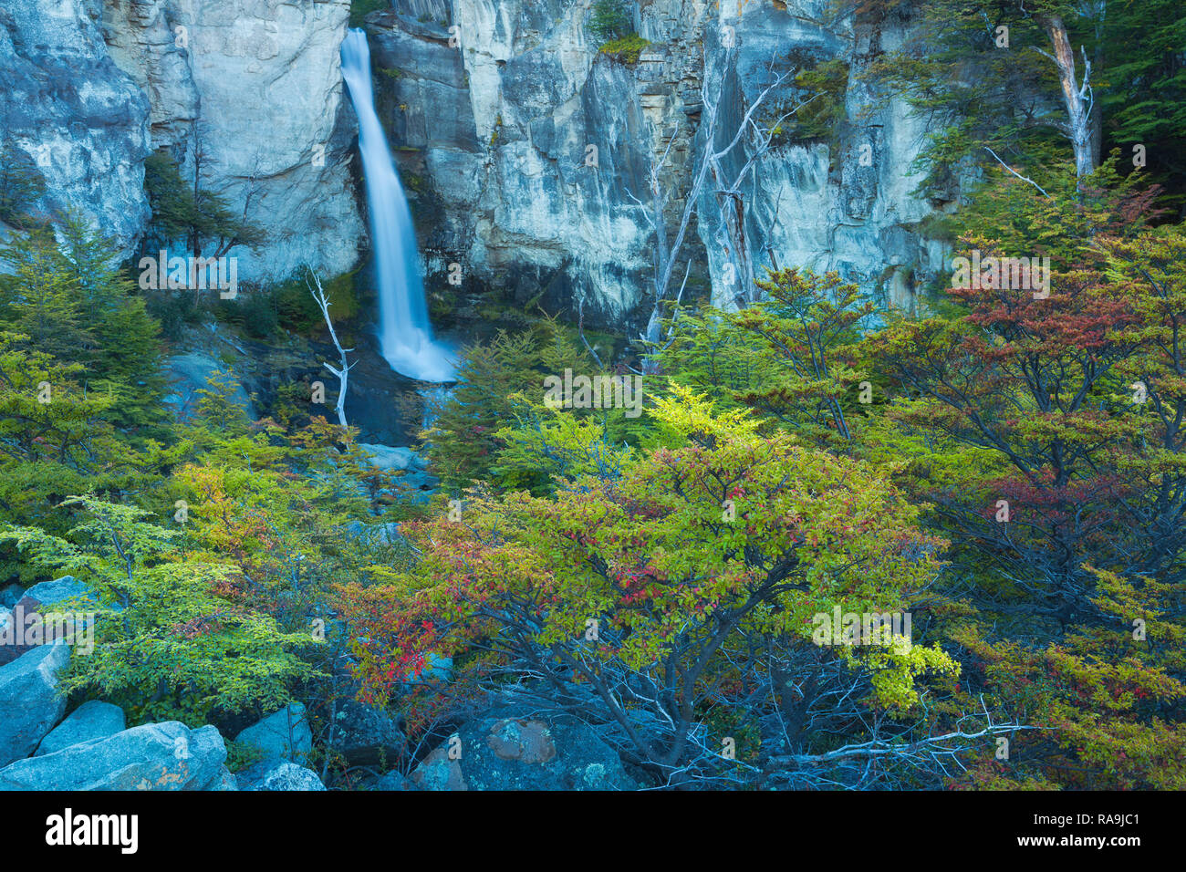 A waterfall surrounded by fall color in Los Glaciares National Park in ...