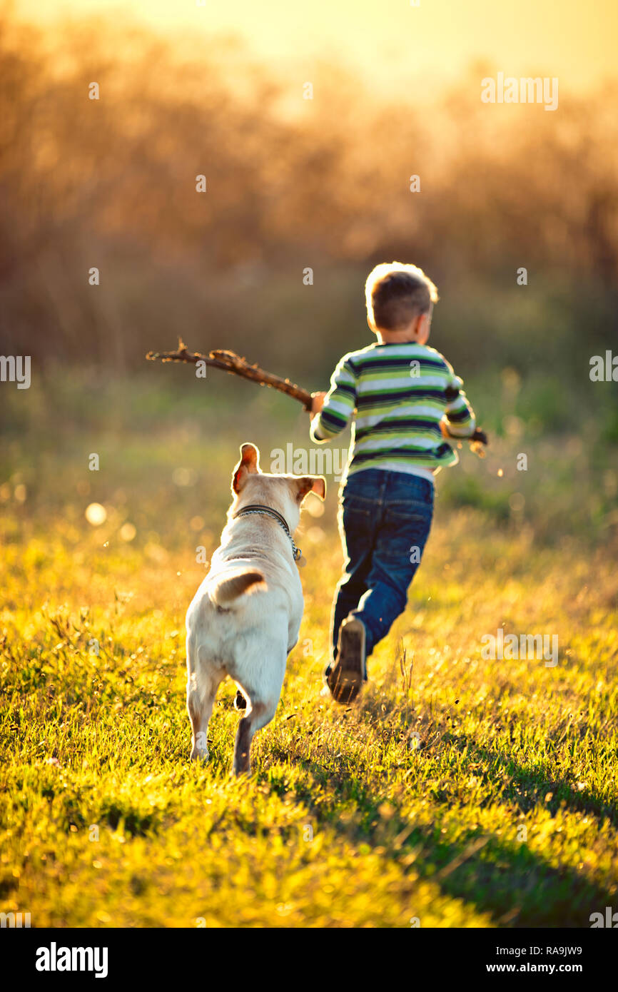 Little boy running on the field with his dog Stock Photo - Alamy