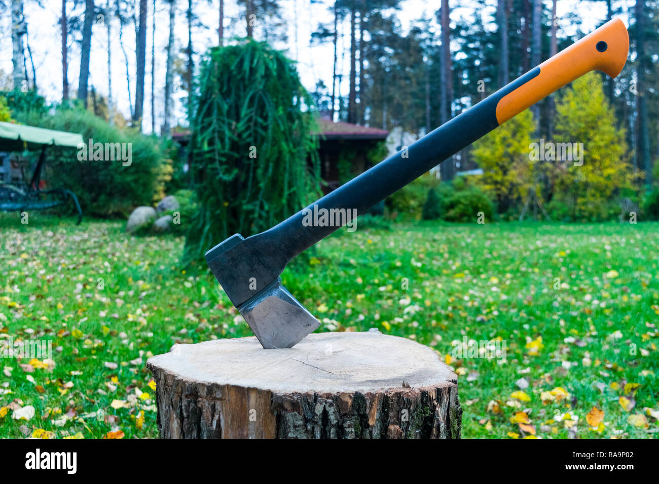 Axe in stump. Axe ready for cutting timber.Woodworking tool. Lumberjack ...