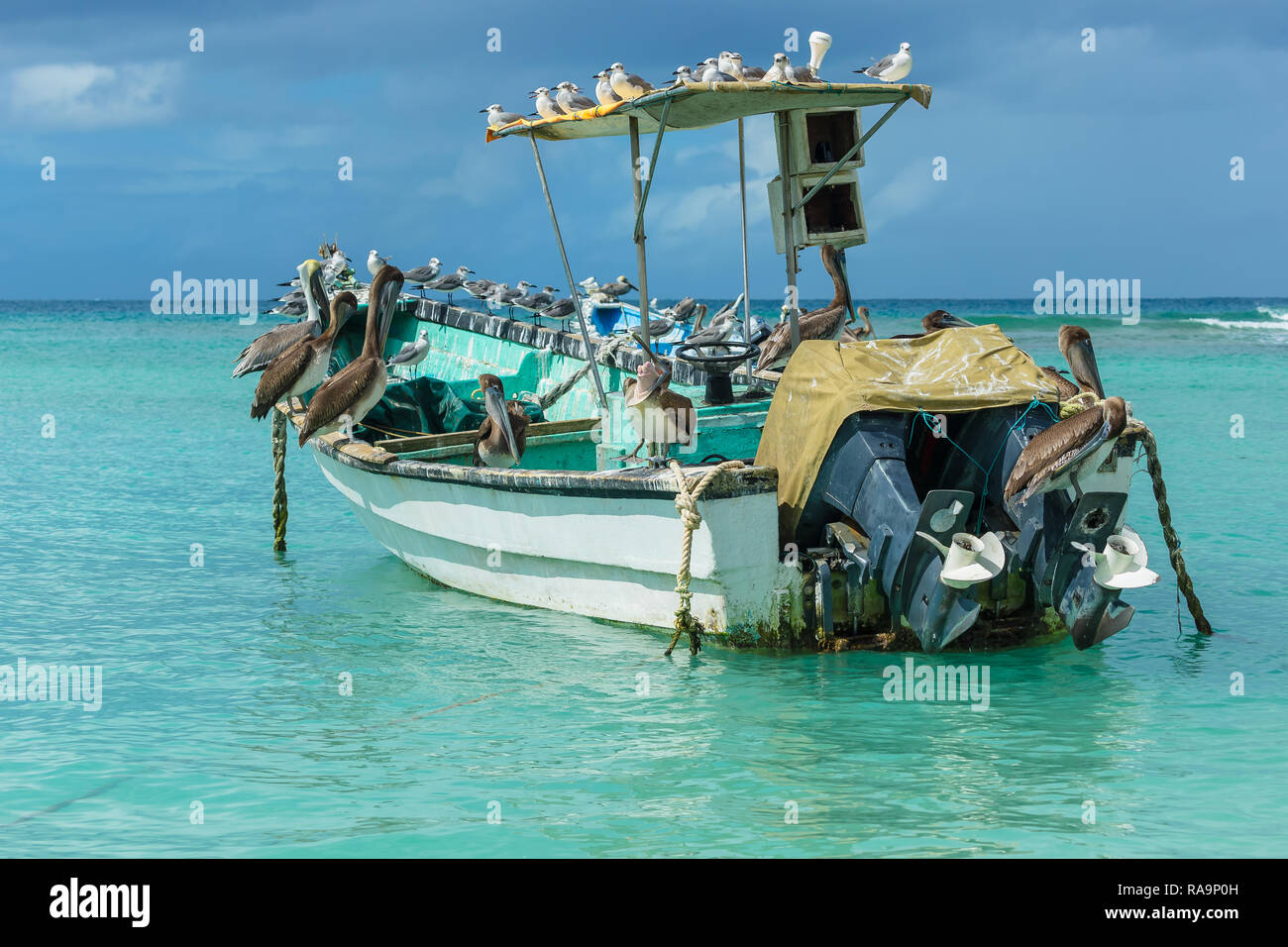 Tobago boat hi-res stock photography and images - Alamy