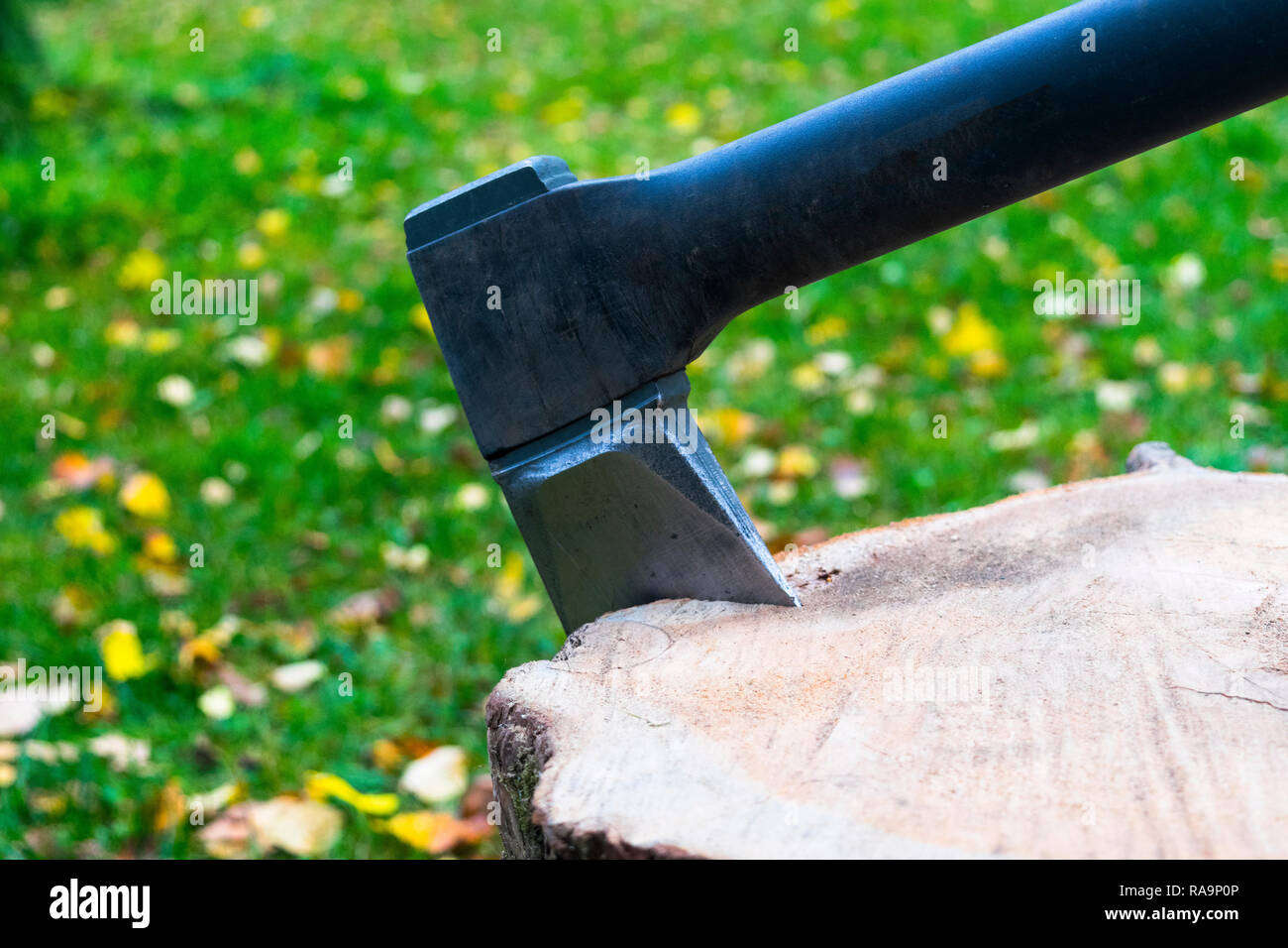 Axe in stump. Axe ready for cutting timber.Woodworking tool. Lumberjack ...