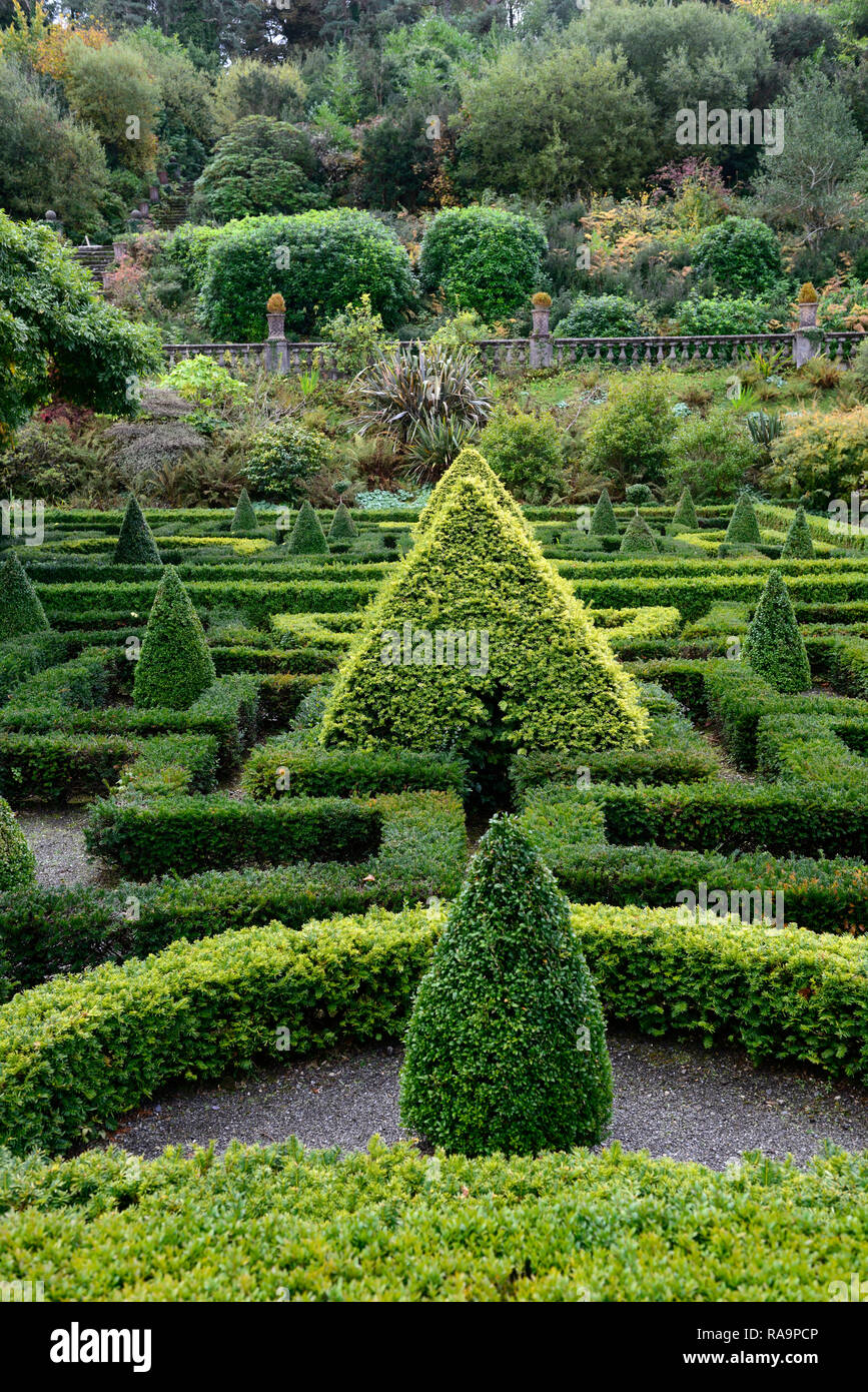 box hedge parterre,wisteria circle,acer palmatum,terrace,gardens,Bantry ...