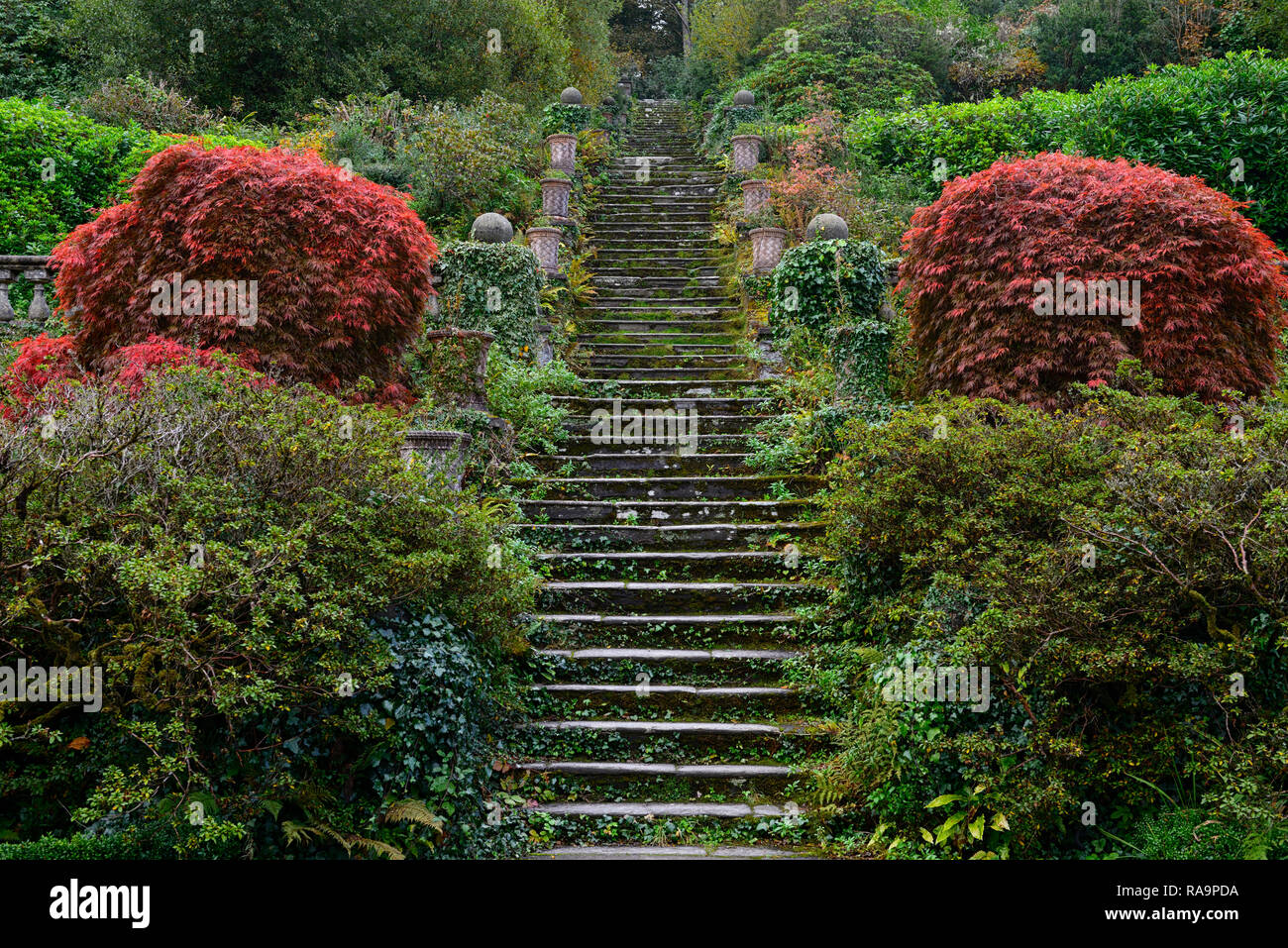 100 steps, one hundred steps,path,pathway,terrace,terraces,acer ...