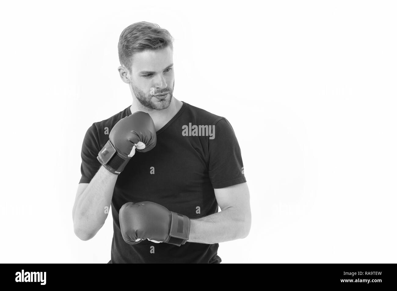 Confident boxer. Sportsman training with boxing gloves. Boxing concept ...