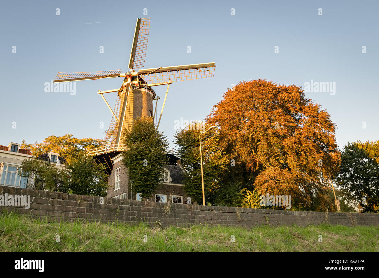 Dutch windmill and trees in autumn colors situated in Gouda, Holland ...