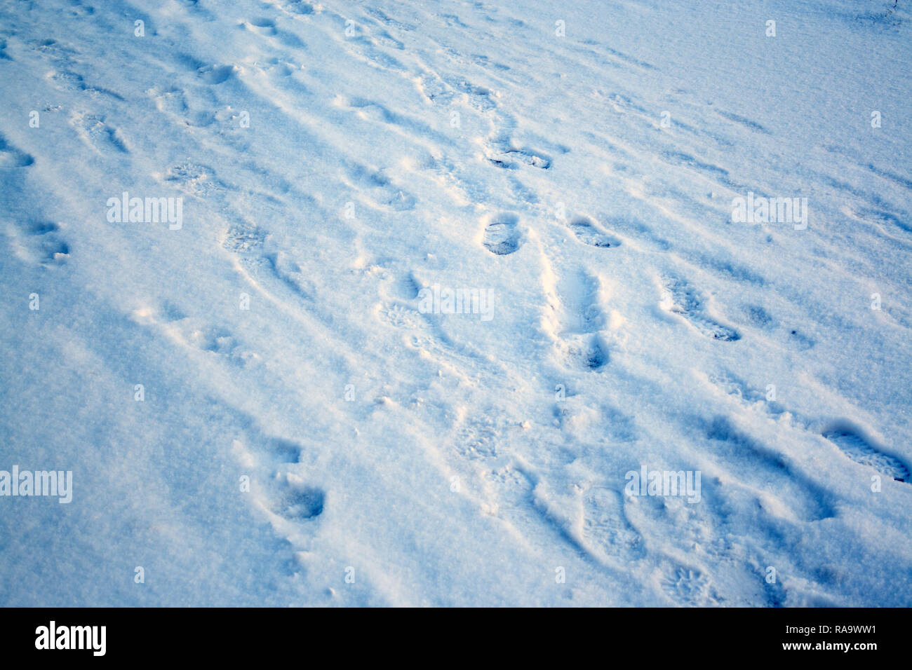 Lots of footprints hi-res stock photography and images - Alamy