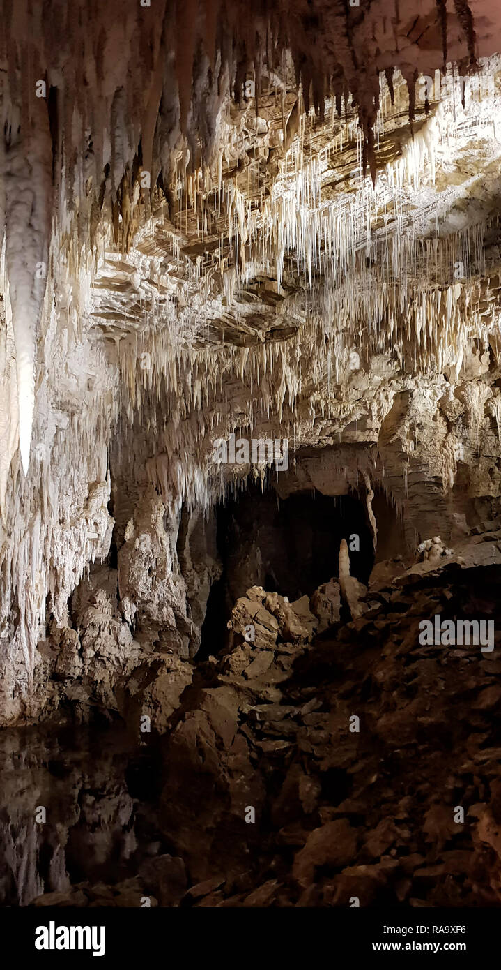 Ruakuri Caves, Waitomo, New Zealand, North Island, NZ Stock Photo - Alamy