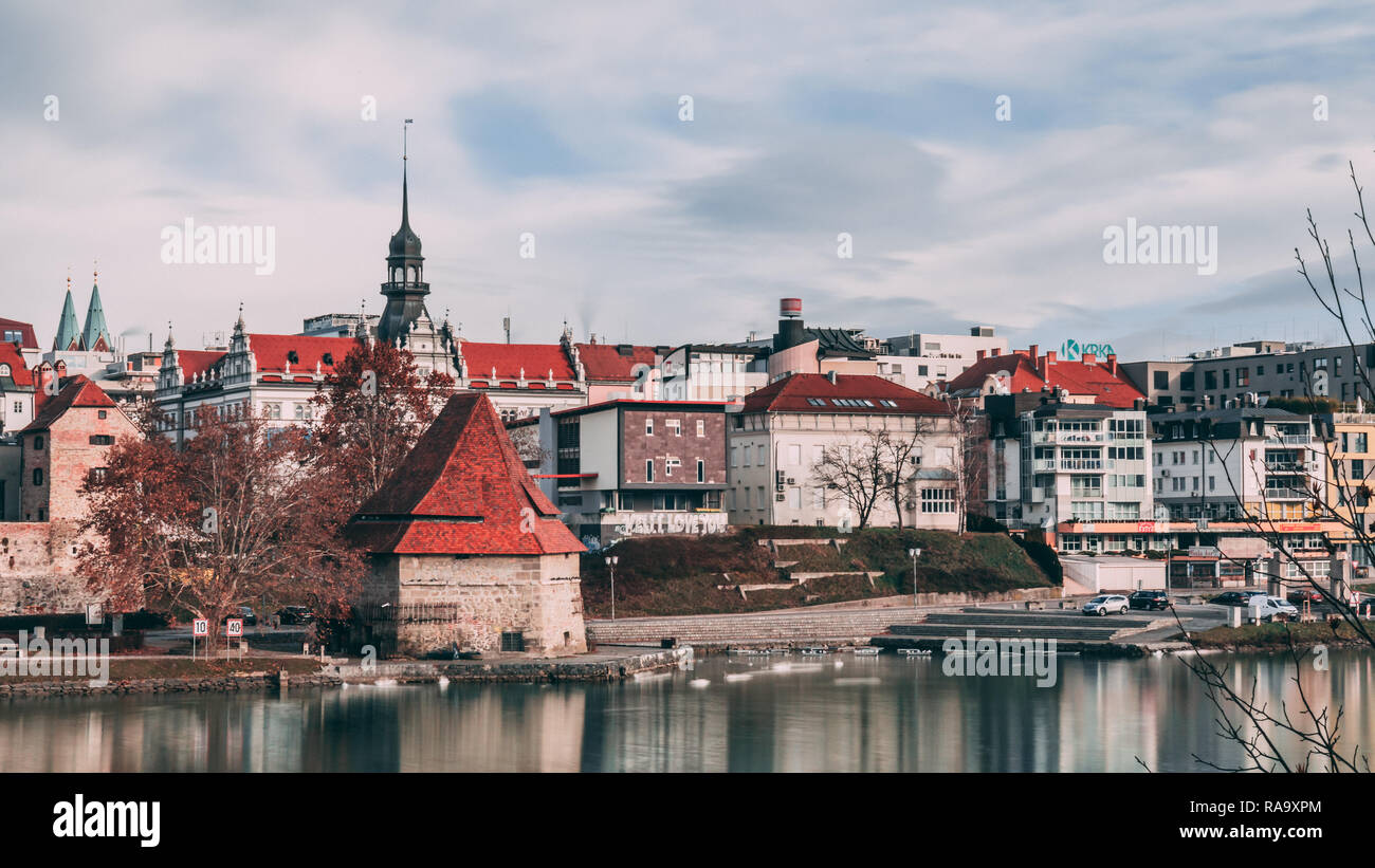 Maribor old vine hi-res stock photography and images - Alamy
