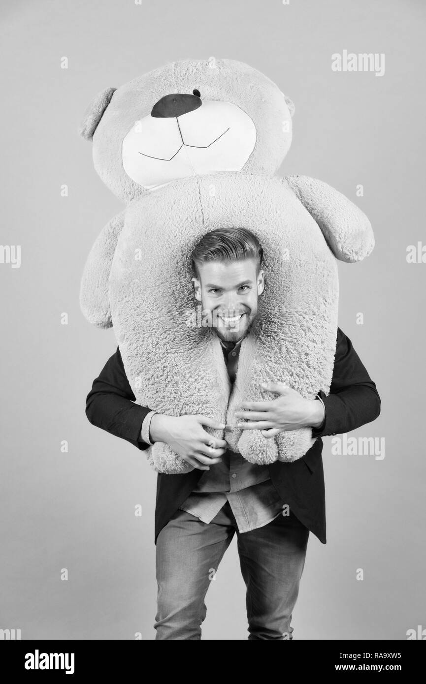 Man carries giant teddy bear on neck, grey background. Birthday gift ...
