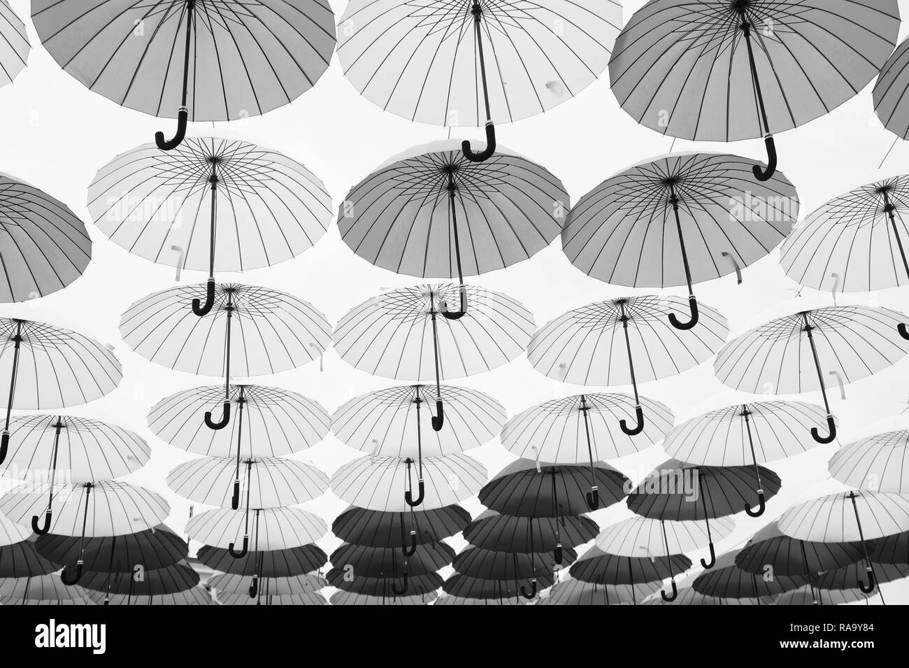 Umbrella art installation Black and White Stock Photos & Images - Alamy
