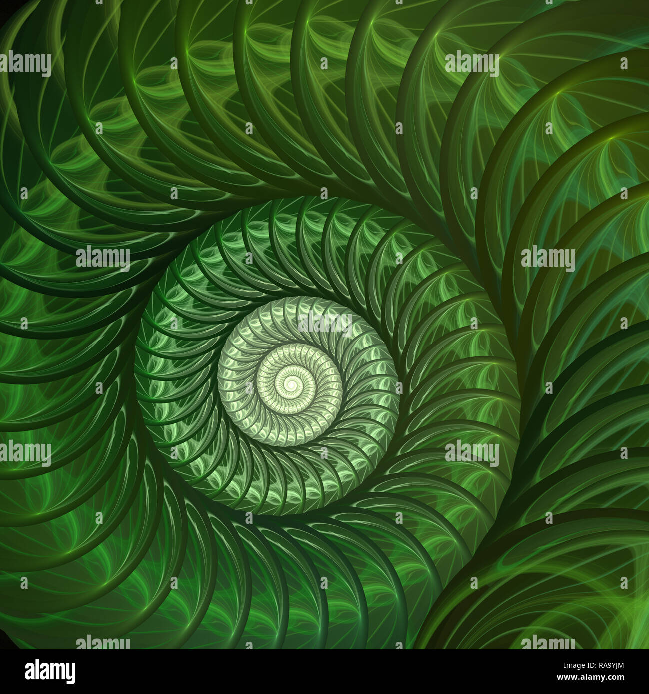 Fibonacci Spiral Fractal The Golden Ratio Triangular Fractal Spiral
