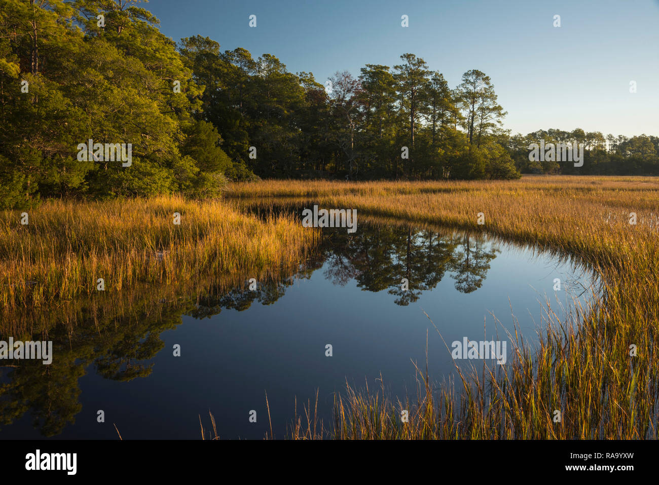 Intracoastal waterway south carolina hi-res stock photography and ...