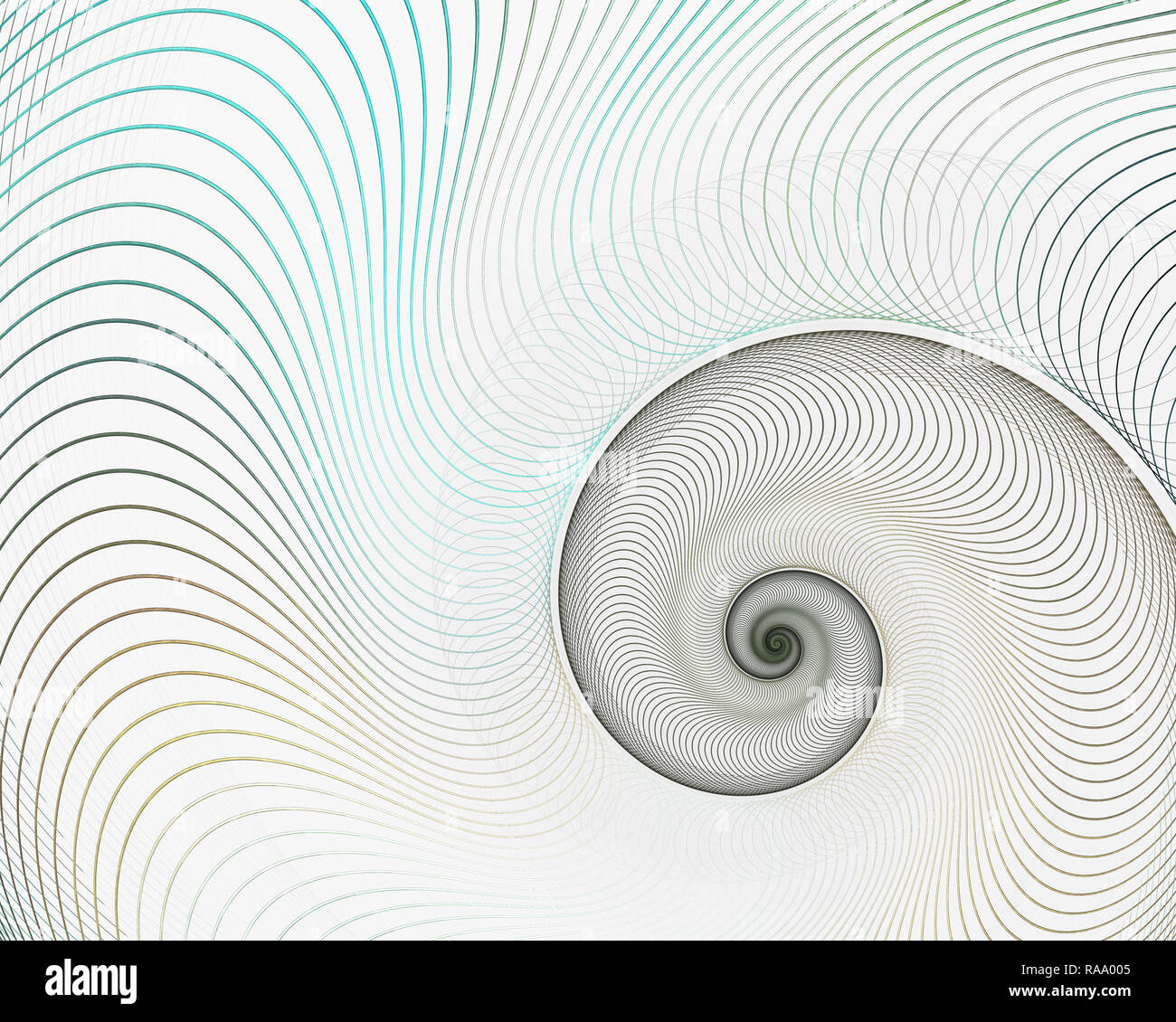 Abstract fractal spiral. Shell background, Spiral symmetry Fibonacci ...