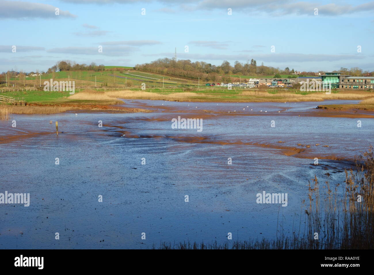 River Clyst at Topsham, view towards Dart's farm, Devon, England, UK ...