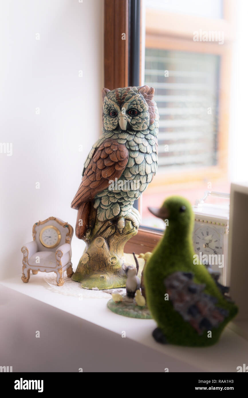 Owl on the shelves by the window Stock Photo - Alamy