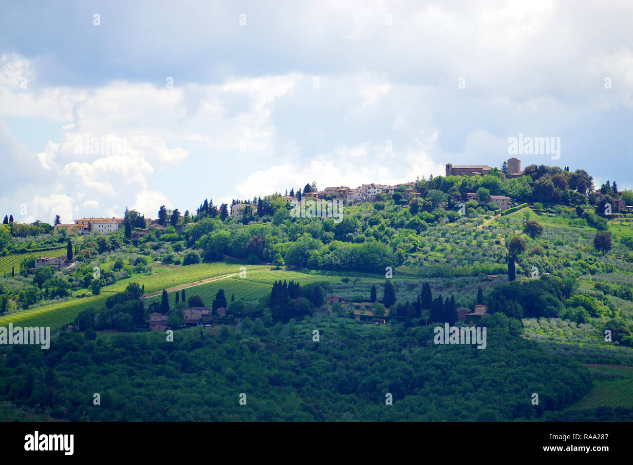 Chianti forest hi-res stock photography and images - Alamy