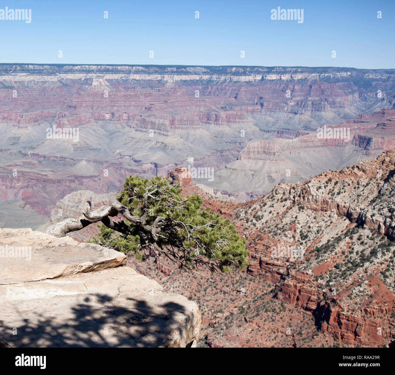 Grand canyon landscape arizona hi-res stock photography and images - Alamy