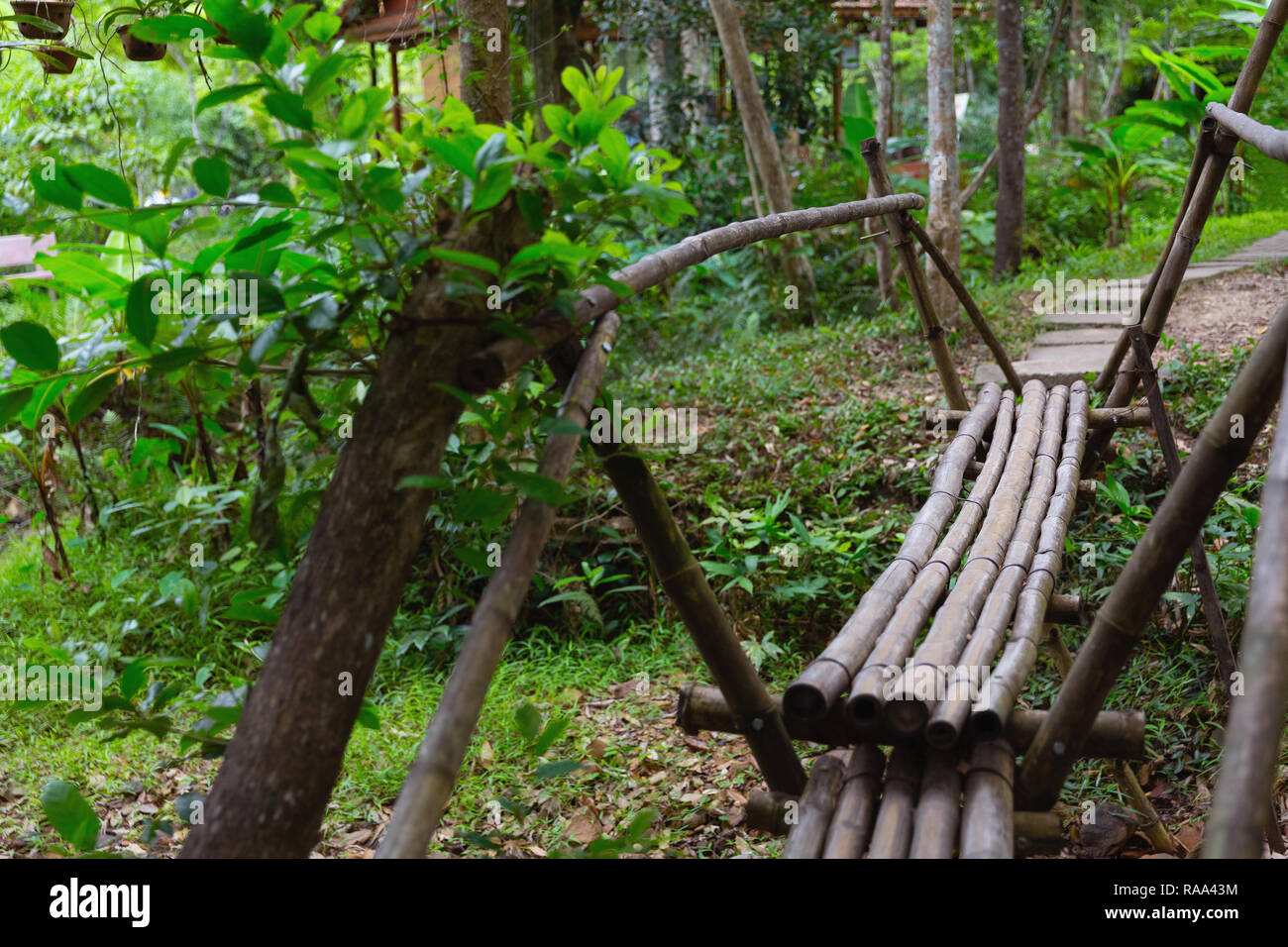 Vietnam bamboo footbridge hi-res stock photography and images - Alamy