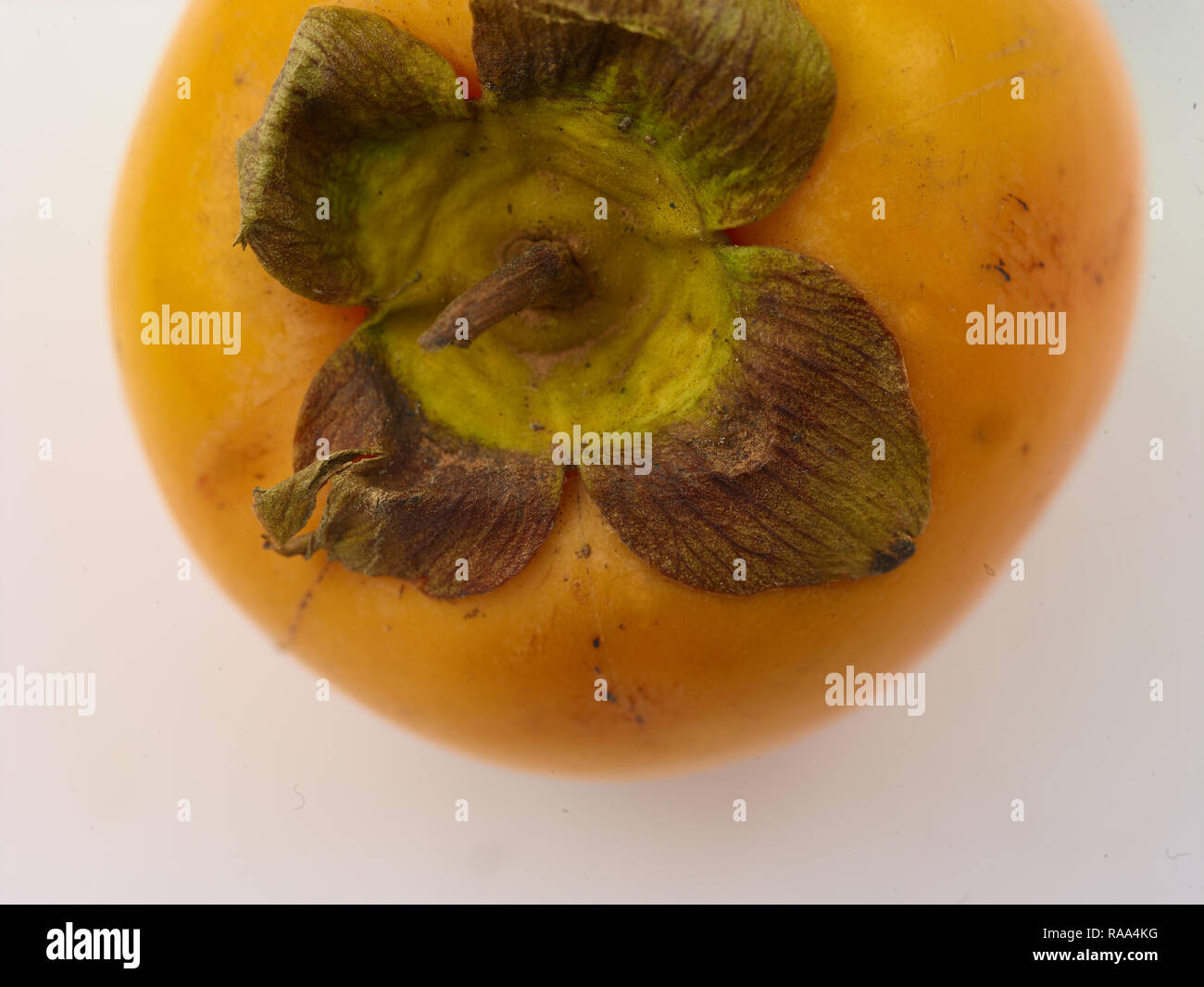 Sharon fruit against a white background fruit still-life Stock Photo ...