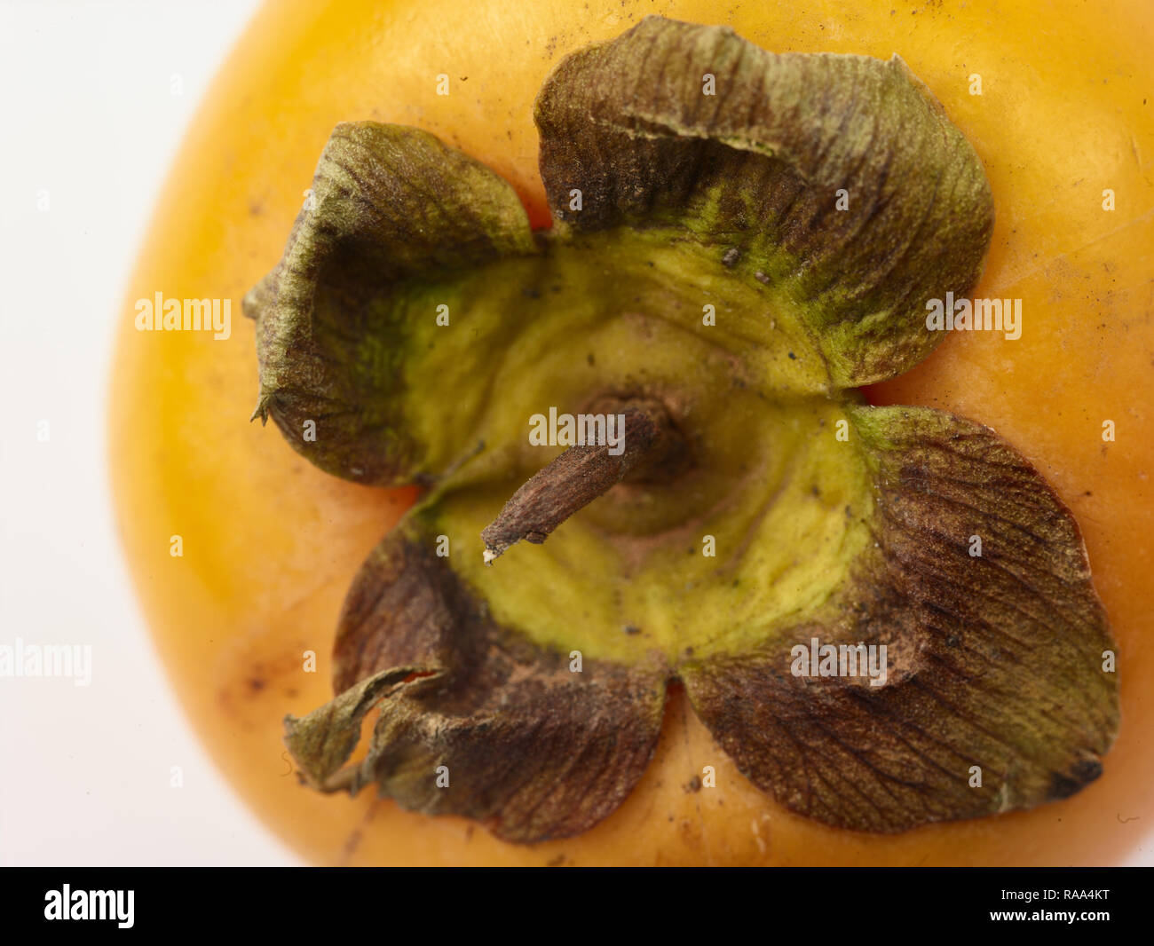 Sharon fruit against a white background fruit still-life Stock Photo ...