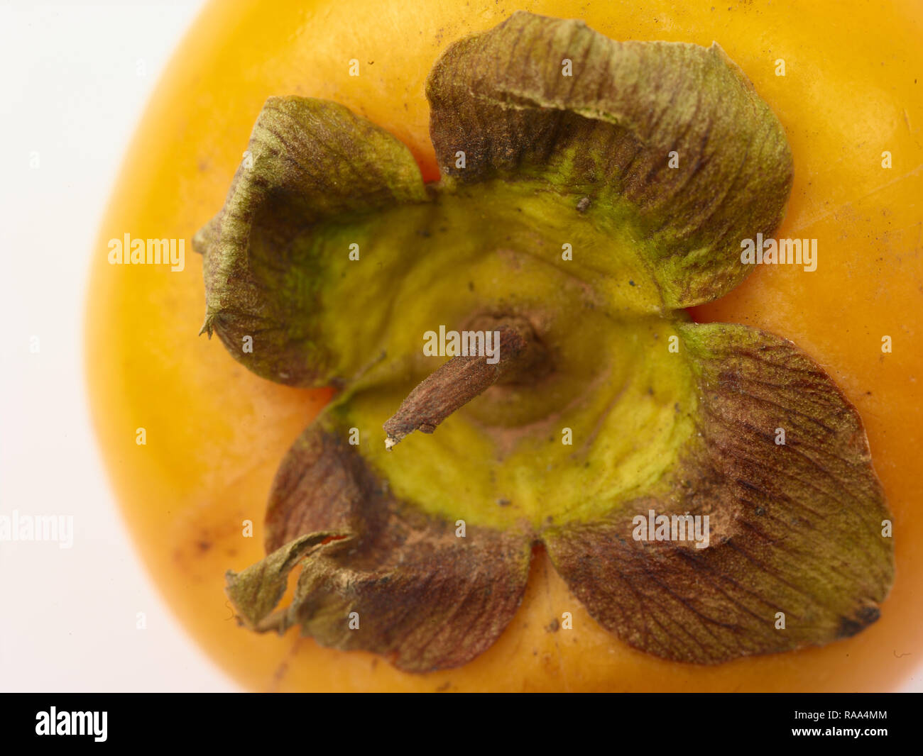 Sharon fruit against a white background fruit still-life Stock Photo ...