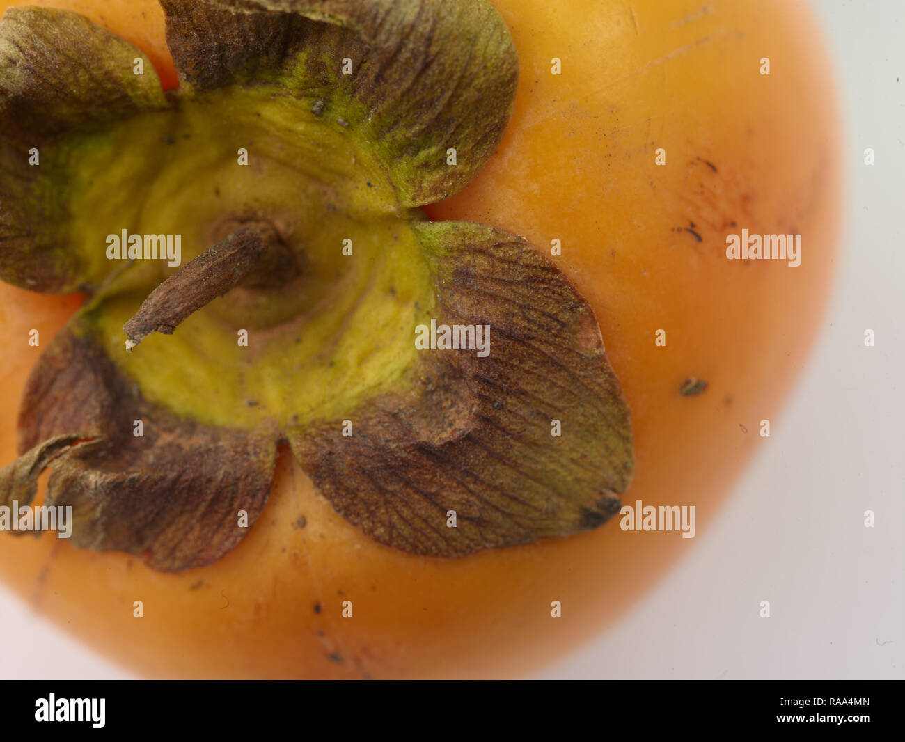 Sharon fruit against a white background fruit still-life Stock Photo ...