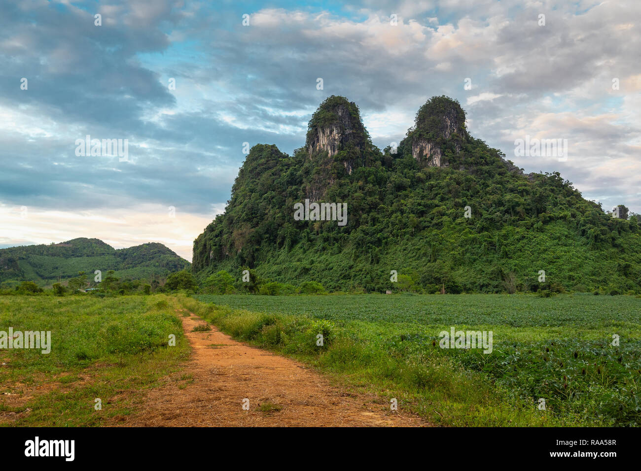 Limestone cliff peaks overlooking farm field, Phong Nha, Vietnam, Asia ...