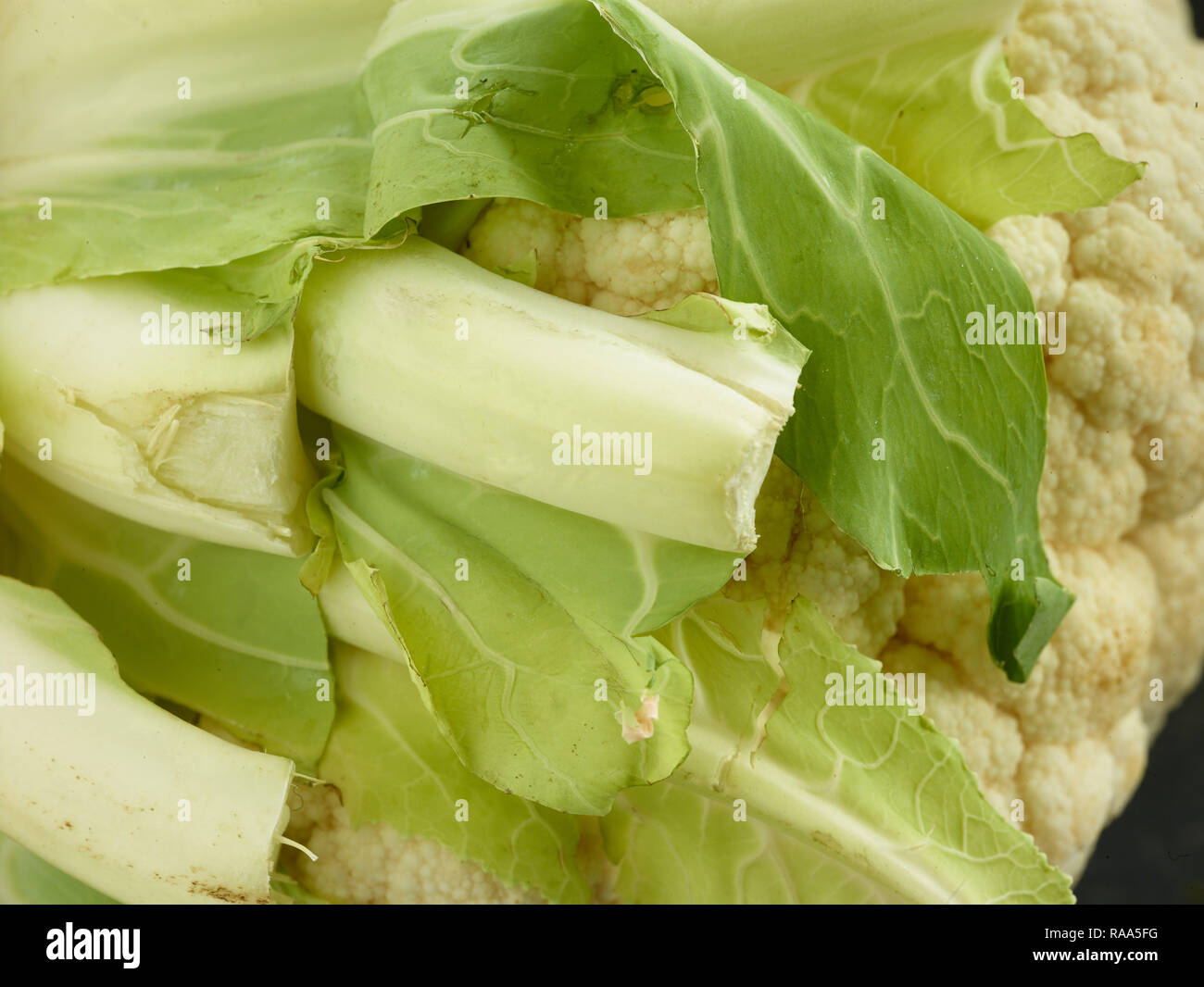 Cauliflower vegetable food still-life photograph Stock Photo - Alamy