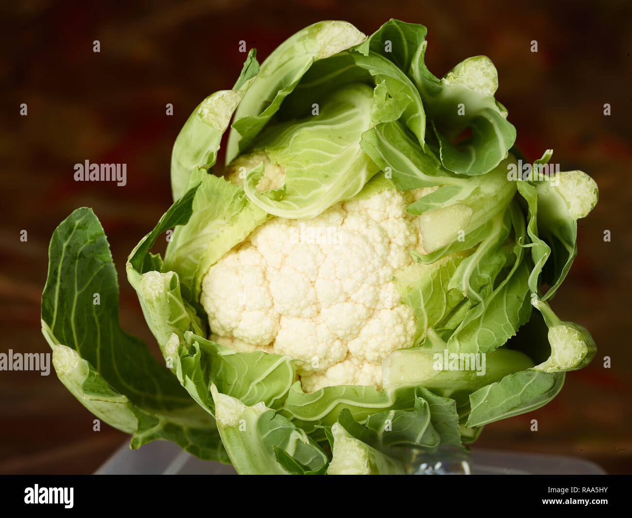 Cauliflower vegetable food still-life photograph Stock Photo - Alamy