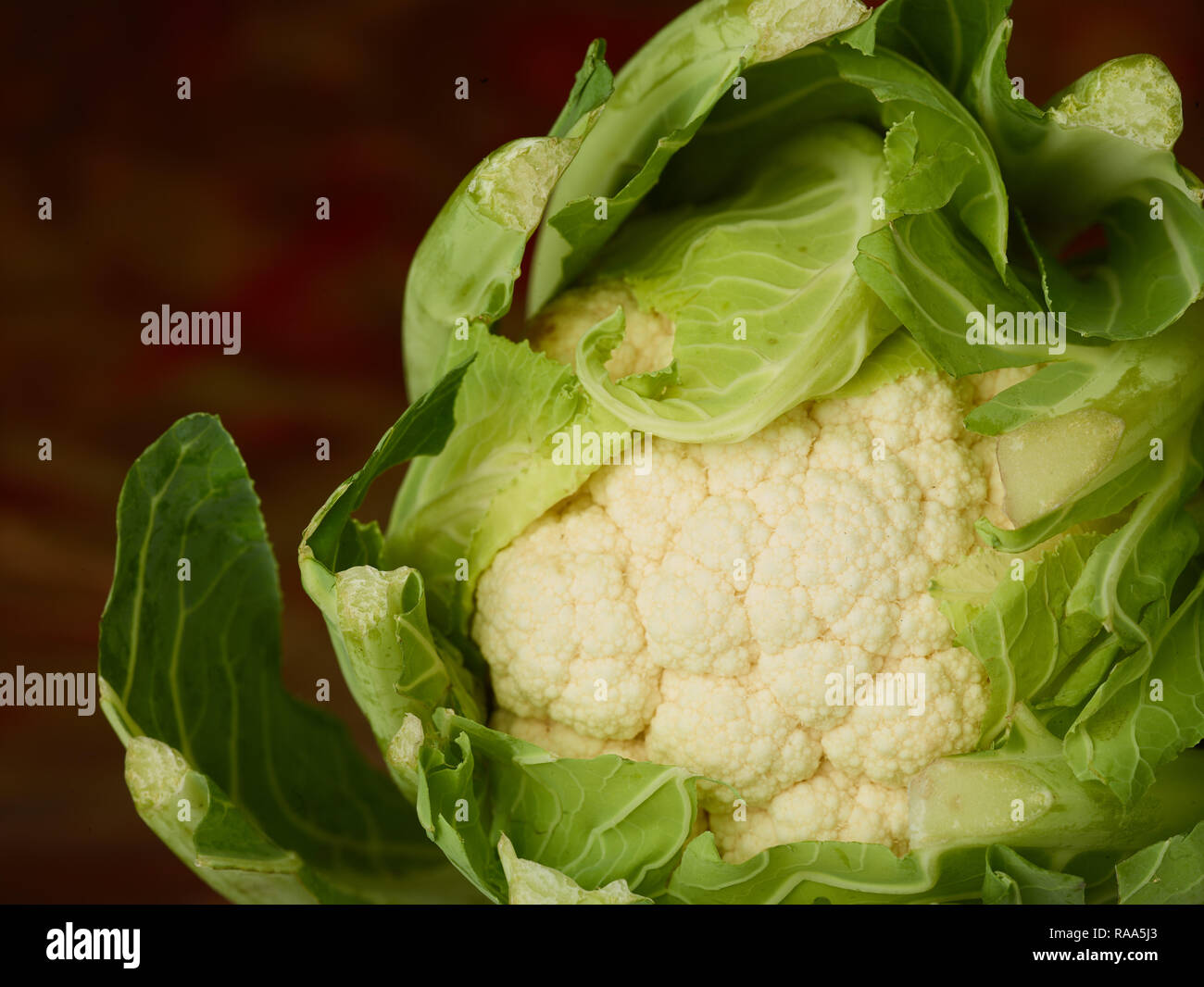 Cauliflower vegetable food still-life photograph Stock Photo - Alamy