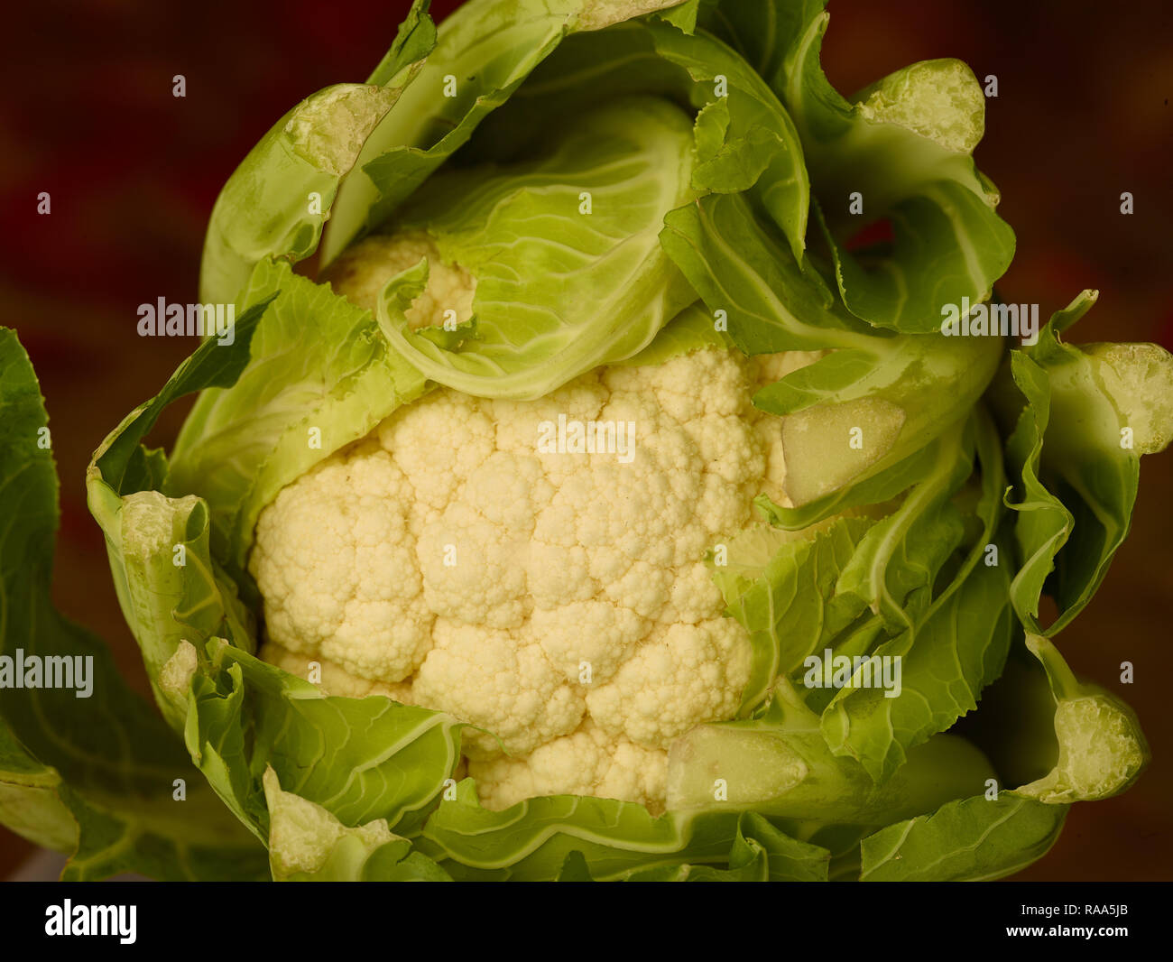 Cauliflower vegetable food still-life photograph Stock Photo - Alamy