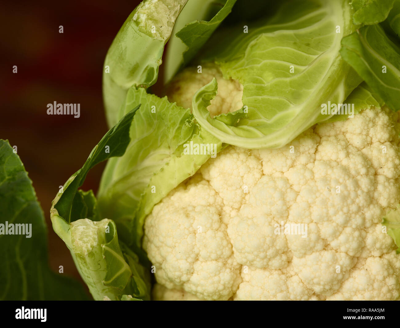 Cauliflower vegetable food still-life photograph Stock Photo - Alamy