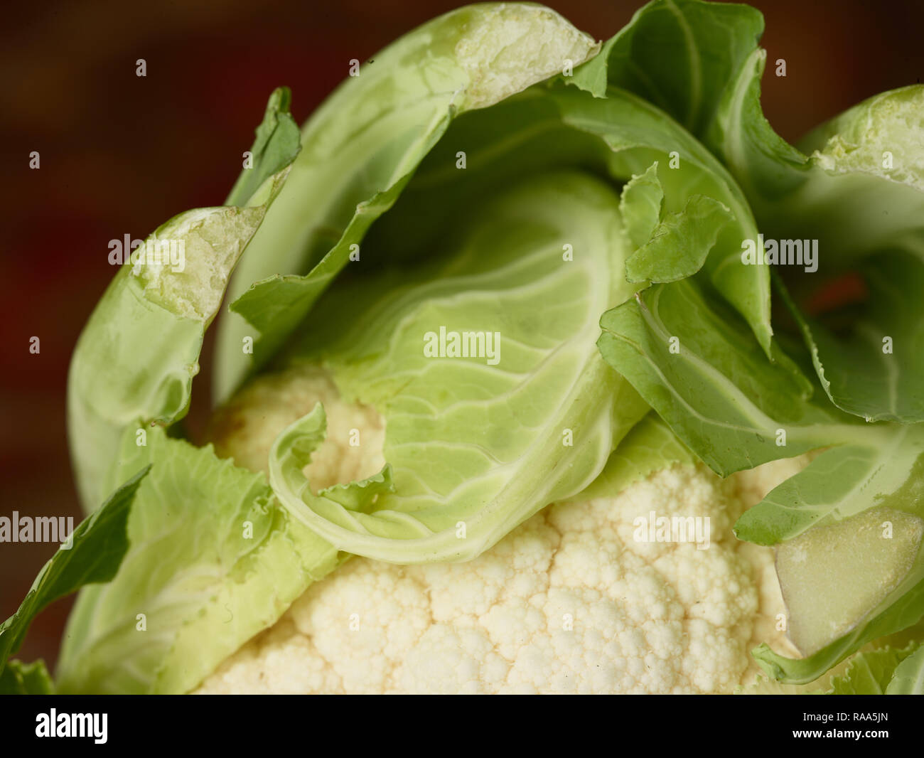 Cauliflower vegetable food still-life photograph Stock Photo - Alamy