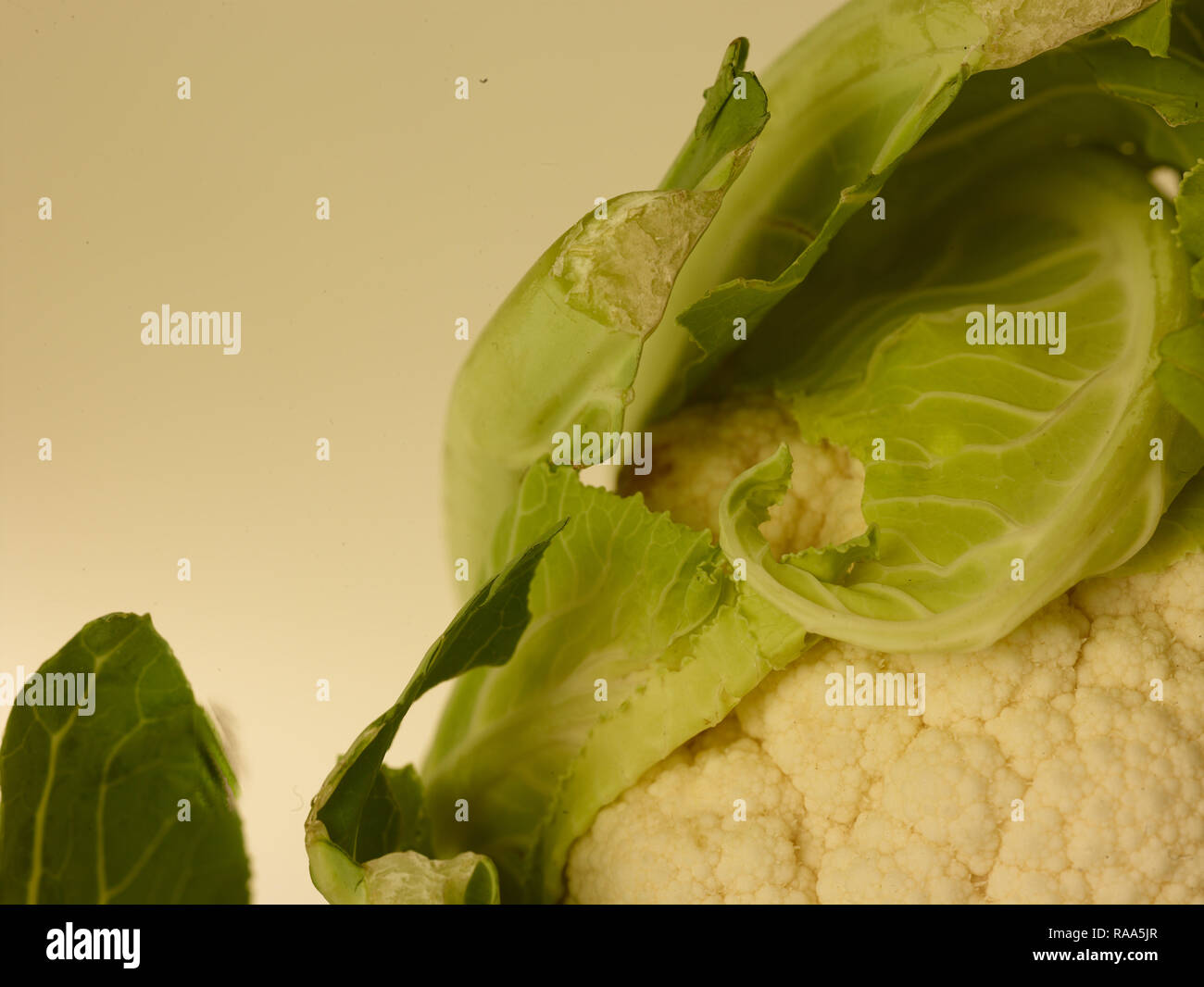 Cauliflower vegetable food still-life photograph Stock Photo - Alamy