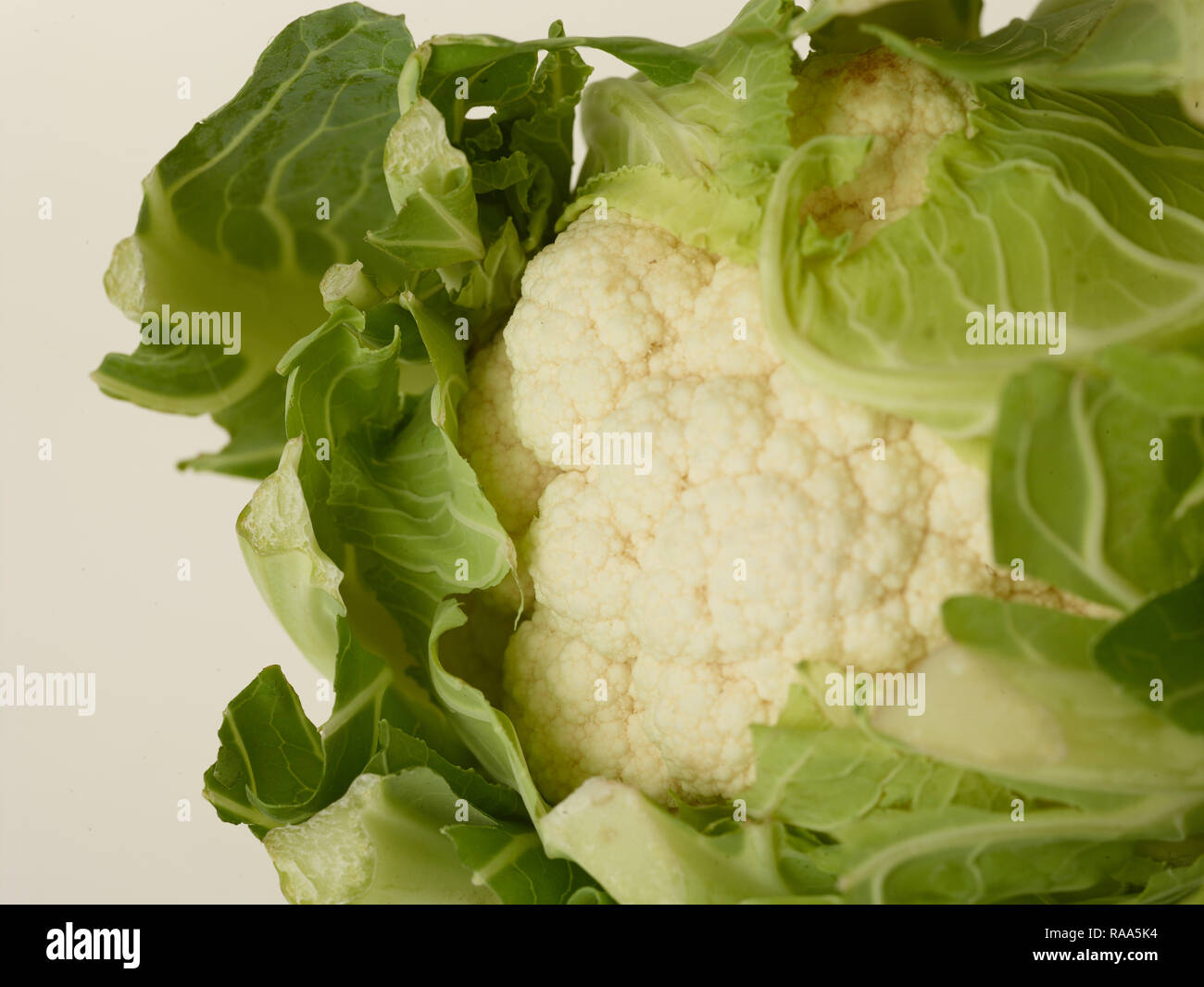 Cauliflower vegetable food still-life photograph Stock Photo - Alamy
