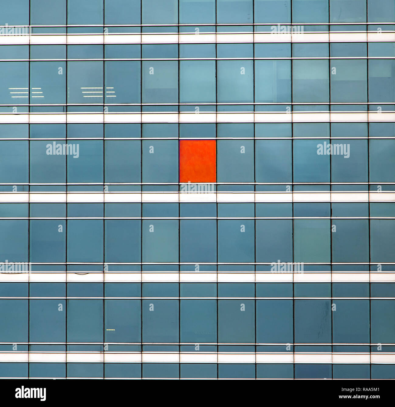 The glass facade of skyscraper with many identical windows and only one ...